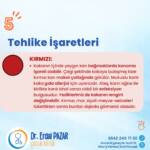 Bez Kullanan Bebeklerin Kakası: Renk ve Kıvamı Hakkında Bilmeniz ...