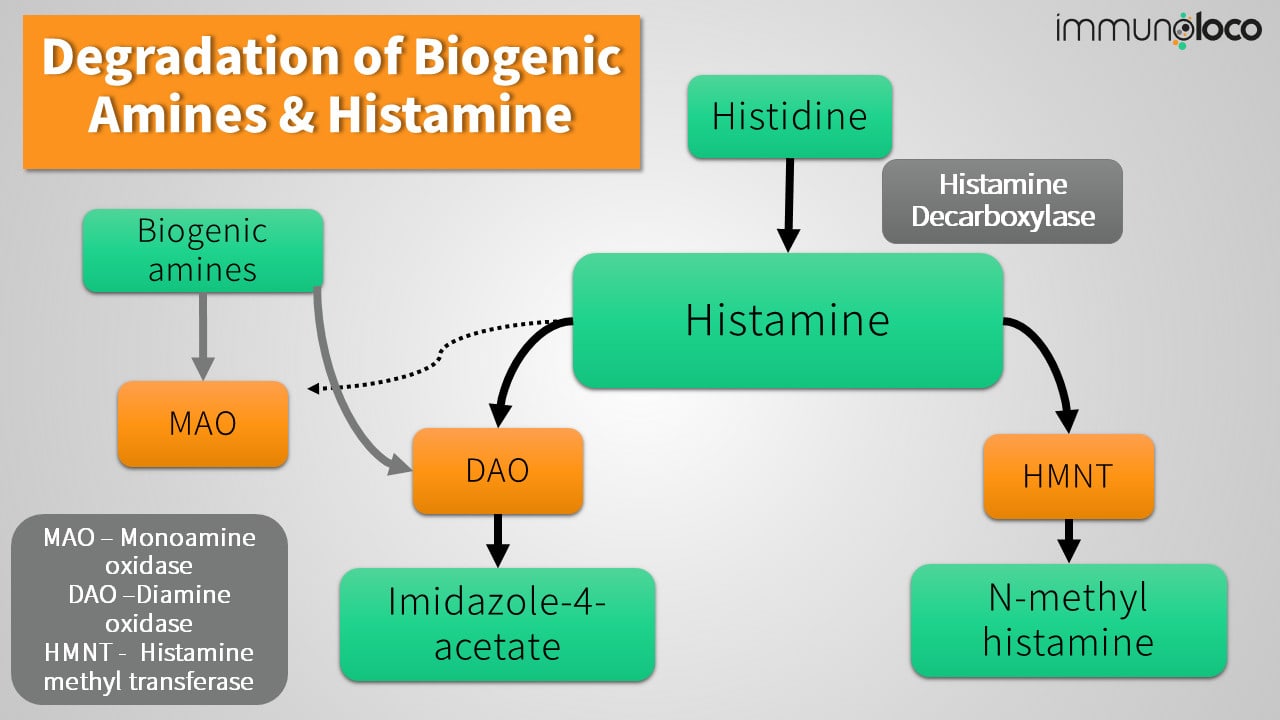 Histamin İntoleransı Nedir? Çocuklarda Nasıl Anlaşılır? Belirtiler ...